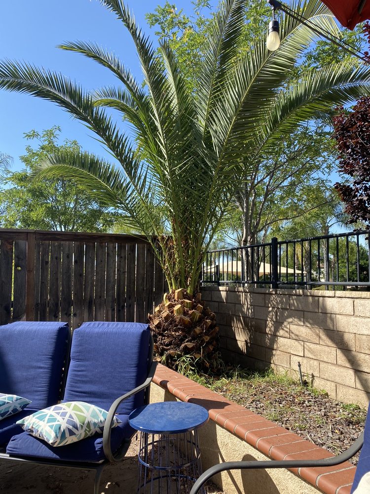 DS AGRISCAPES - Updated July 2025 - 11 Photos - 4080 Elderberry Rdg, Lake Elsinore, California ...