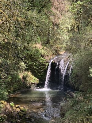 HIDDEN FALLS NATURE PARK - 16 Photos - Hiking - 14888 152nd, Happy ...