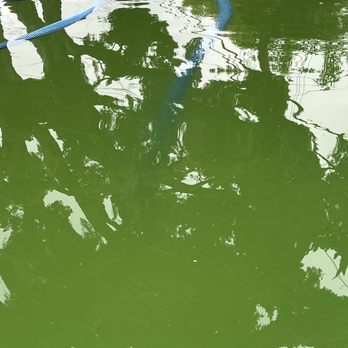 PARISH POOLS - Updated October 2024 - Brea, California - Pool & Hot Tub ...