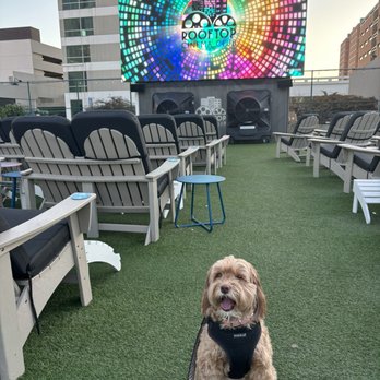 ROOFTOP CINEMA CLUB - DOWNTOWN FORT WORTH - Updated December 2025 - 55 ...