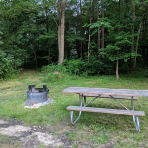 BULL RUN REGIONAL PARK - 95 Photos & 53 Reviews - Parks - 7700 Bull Run ...