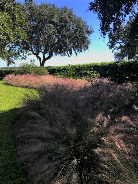 FIRST COAST LANDSCAPE DESIGN - Request a Quote - Fernandina Beach ...