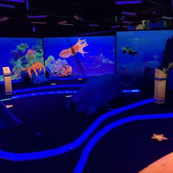 SHANKZ - Updated October 2025 - 87 Photos & 67 Reviews - 3091 College ...