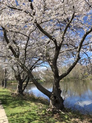 WATCHUNG LAKE - Updated April 2025 - 72 Photos & 13 Reviews - Mountain ...
