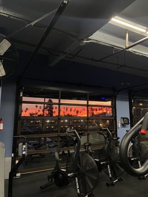 OCEAN PACIFIC GYM AND WELLNESS - Updated December 2025 - 56 Photos ...