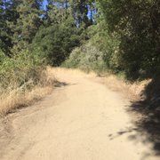 BERKELEY FIRE TRAILS - Updated September 2024 - 450 Photos & 108 ...