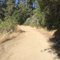 BERKELEY FIRE TRAILS - Updated September 2024 - 450 Photos & 108 ...