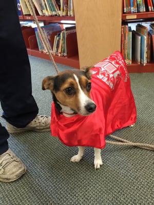 FOREST GROVE CITY LIBRARY - Updated October 2025 - 2114 Pacific Ave ...