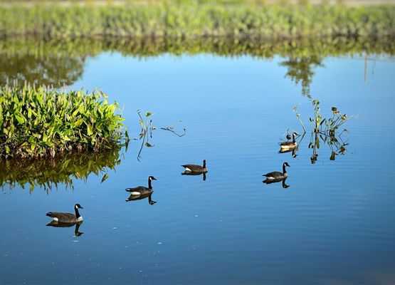 RODNEY COOK SR PARK IN HISTORIC VINE CITY - Updated August 2025 - 10 ...