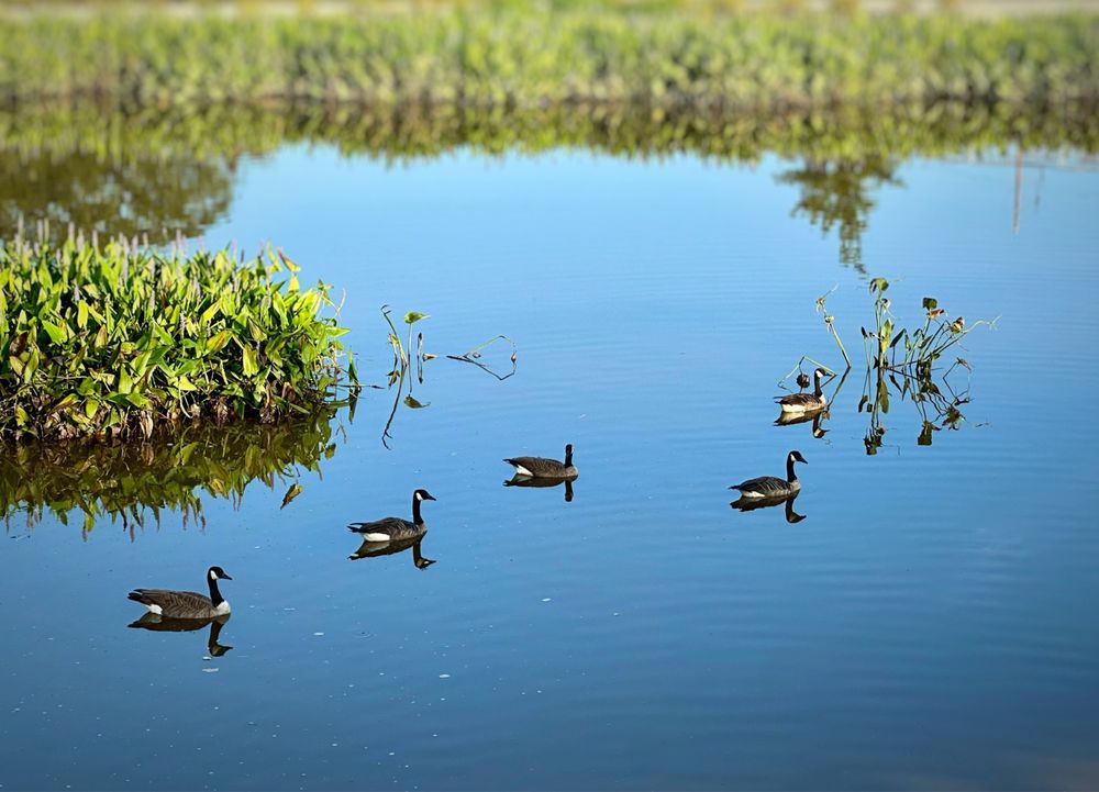 RODNEY COOK SR PARK IN HISTORIC VINE CITY - Updated August 2025 - 10 ...