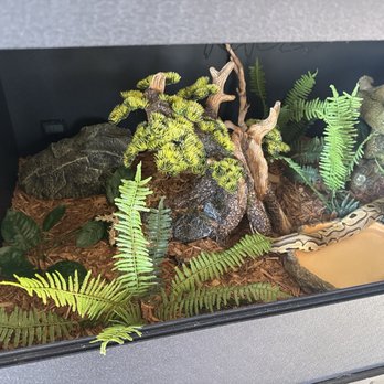 EAST BAY VIVARIUM - Updated January 2026 - 726 Photos & 619 Real ...