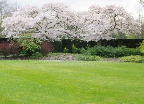 THE ODNEY CLUB - 10 Photos - British - Odney Lane, Cookham, Windsor and ...