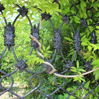 WRAGG SQUARE - Updated October 2025 - 88 Photos - 342 Meeting St ...