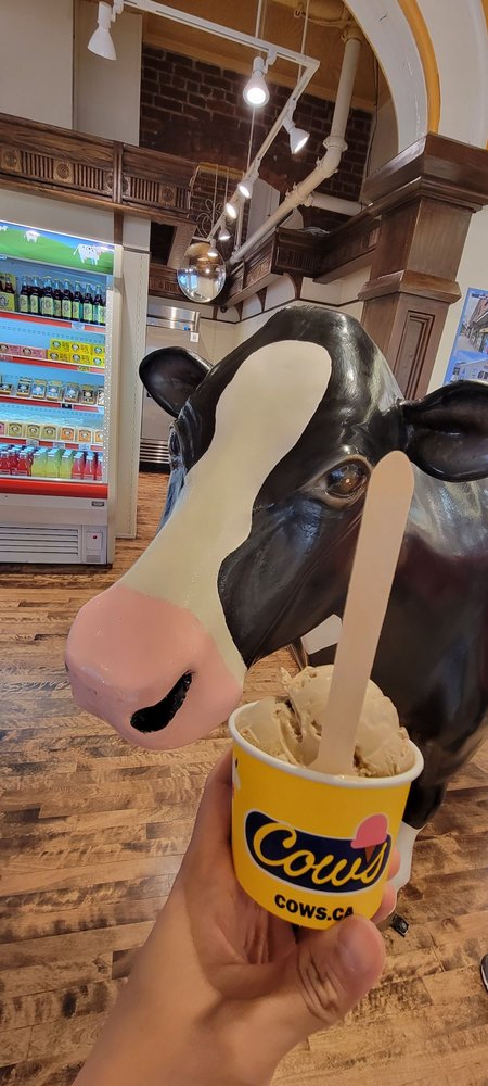 COWS - Updated August 2024 - 108 Photos & 54 Reviews - 150 Queen Street ...