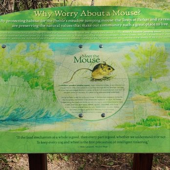 MCCABE MEADOWS PARK - Updated January 2026 - 46 Photos - 19700 Indian ...