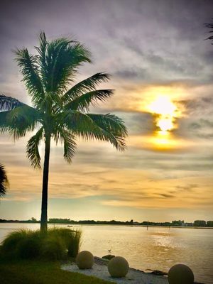 BIRD KEY PARK - 57 Photos & 10 Reviews - Parks - 101 Bird Key Dr ...