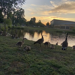 EDMOND LIBRARY - Updated August 2025 - 23 Photos & 20 Reviews - 10 S ...