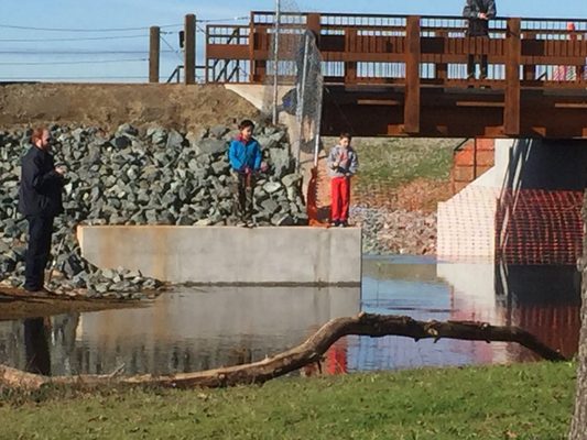 MATHER FIELD LAKE REGIONAL PARK - Updated October 2025 - 346 Photos ...