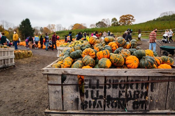 SILVERMAN’S FARM - Updated October 2024 - 183 Photos & 129 Reviews ...