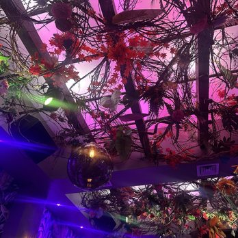 MOJO RVC - Updated August 2025 - 508 Photos & 361 Reviews - 300 Sunrise ...