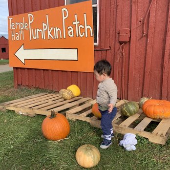 TEMPLE HALL FARM PARK - Updated October 2025 - 57 Photos & 25 Reviews ...
