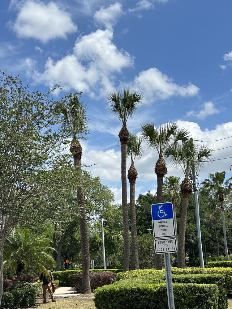 TOP TIER TREE SERVICE - Updated September 2025 - 21 Photos - Altamonte ...