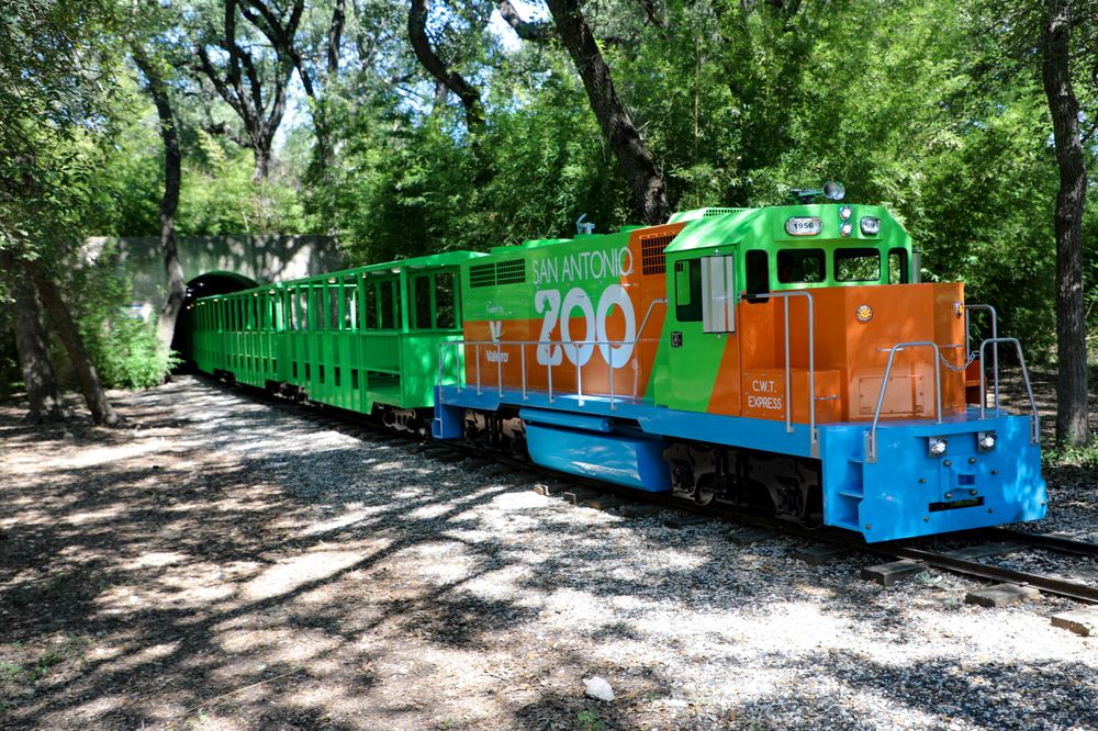 San Antonio Zoo Eagle Train Ride, San Antonio | Roadtrippers