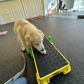 THE HUB BY PACK ANIMALS - Updated December 2025 - 42 Photos & 15 ...