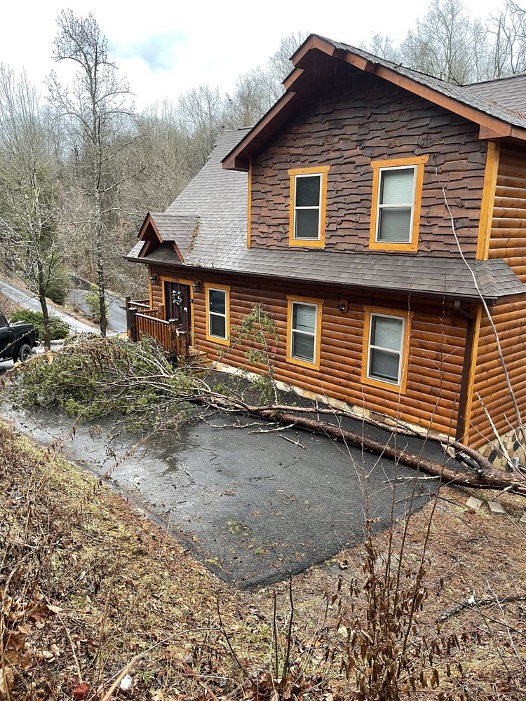 RUSTIC TIMBER TREE SERVICE - Updated September 2025 - 32 Photos ...