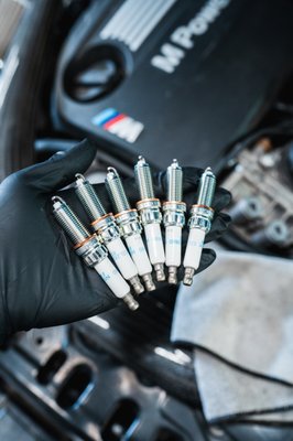 PQ PERFORMANCE - Updated December 2025 - 24 Photos & 11 Reviews - 4961 ...