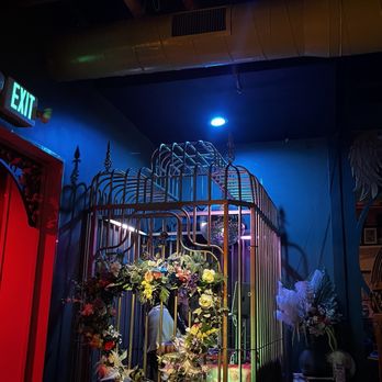 DARLING AVIARY - Updated June 2024 - 699 Photos & 518 Reviews - 712 K ...