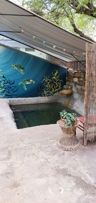 ESSENCE OF TRANQUILITY - 31 Photos & 37 Reviews - 6074 S Lebanon Loop ...