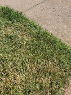 VIRGINIA GREEN - Updated October 2025 - 62 Photos & 90 Reviews - 7421 ...