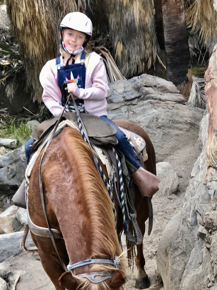 SMOKE TREE STABLES - 269 Photos & 234 Reviews - Horseback Riding - 2500 ...