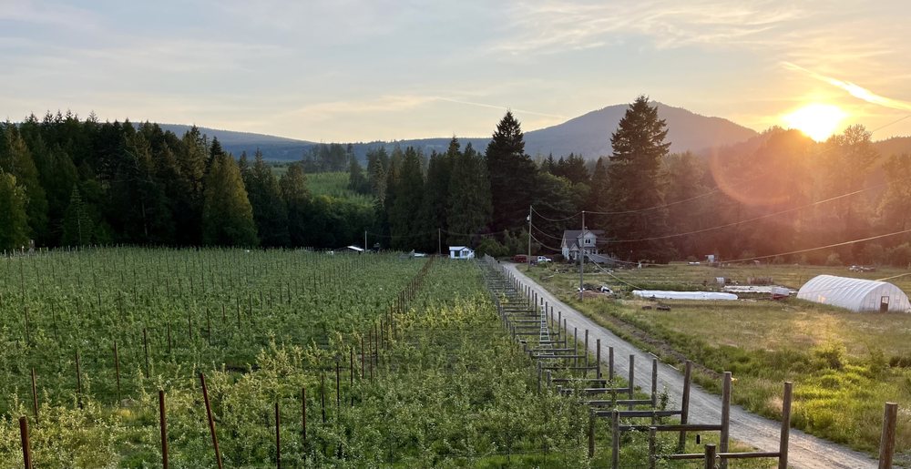 BIG BANG CIDER - Updated October 2025 - 1235 Nanaimo Lakes Road ...