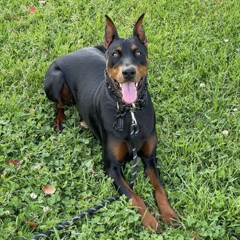 DR. BUTCHKO - Updated October 2025 - 52 Photos & 94 Reviews - 5448 ...