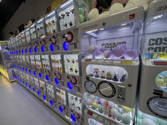 THE CLAW FACTORY - Updated January 2026 - 24 Photos & 13 Reviews - 3325 ...