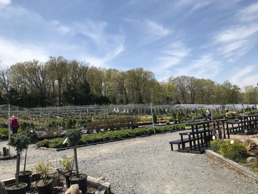 SUN NURSERIES - Updated May 2025 - 29 Photos & 54 Reviews - 14790 Bushy ...