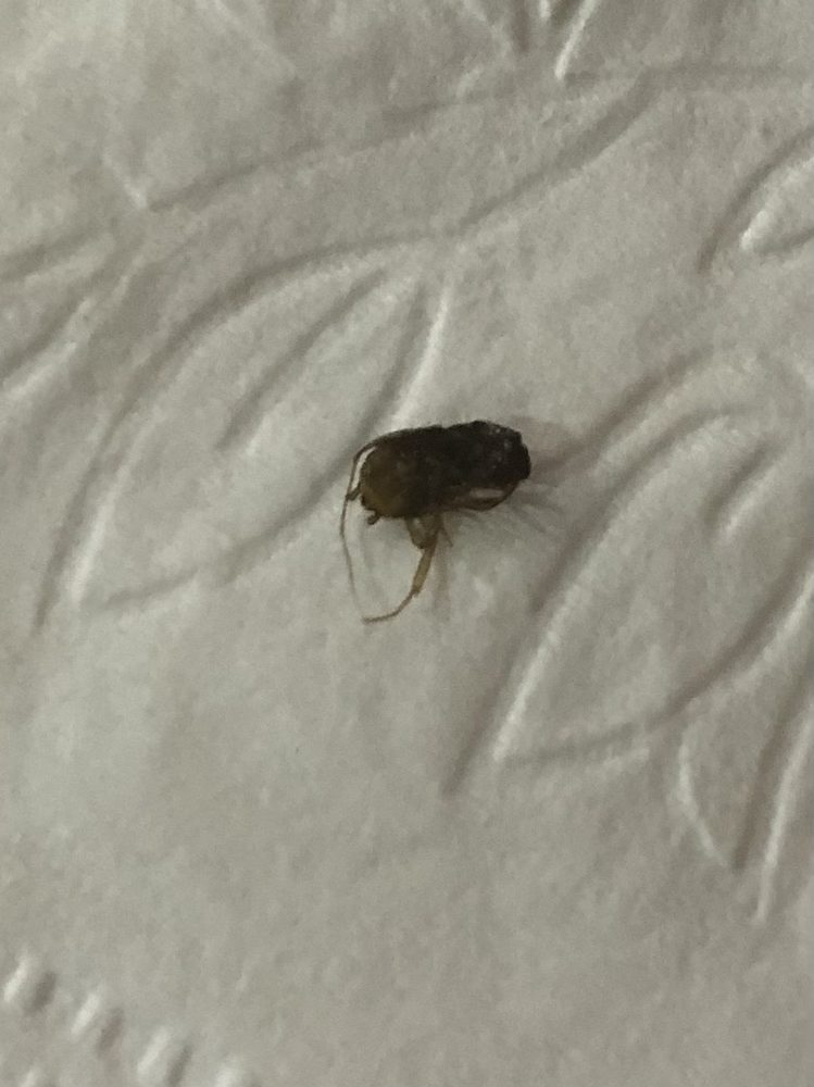 EL RANCHITO - Updated December 2024 - 12 Reviews - 114 Washington St ...