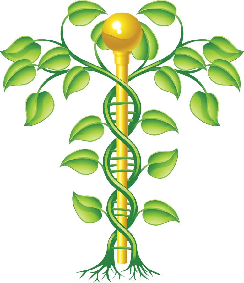 ROIGARD NATUROPATHIC - Updated December 2024 - 275 Fifield Terrace ...