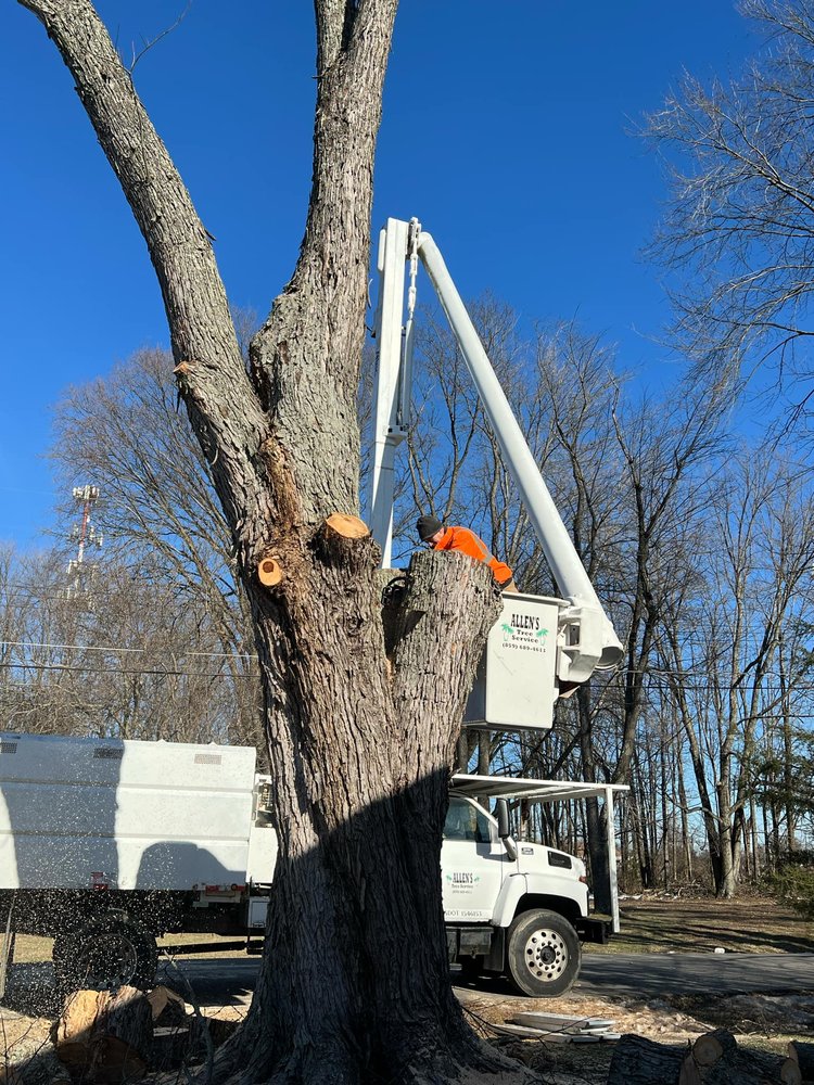 ALLEN’S TREE SERVICE - Updated May 2025 - Request a Quote - 7487 E Bend ...