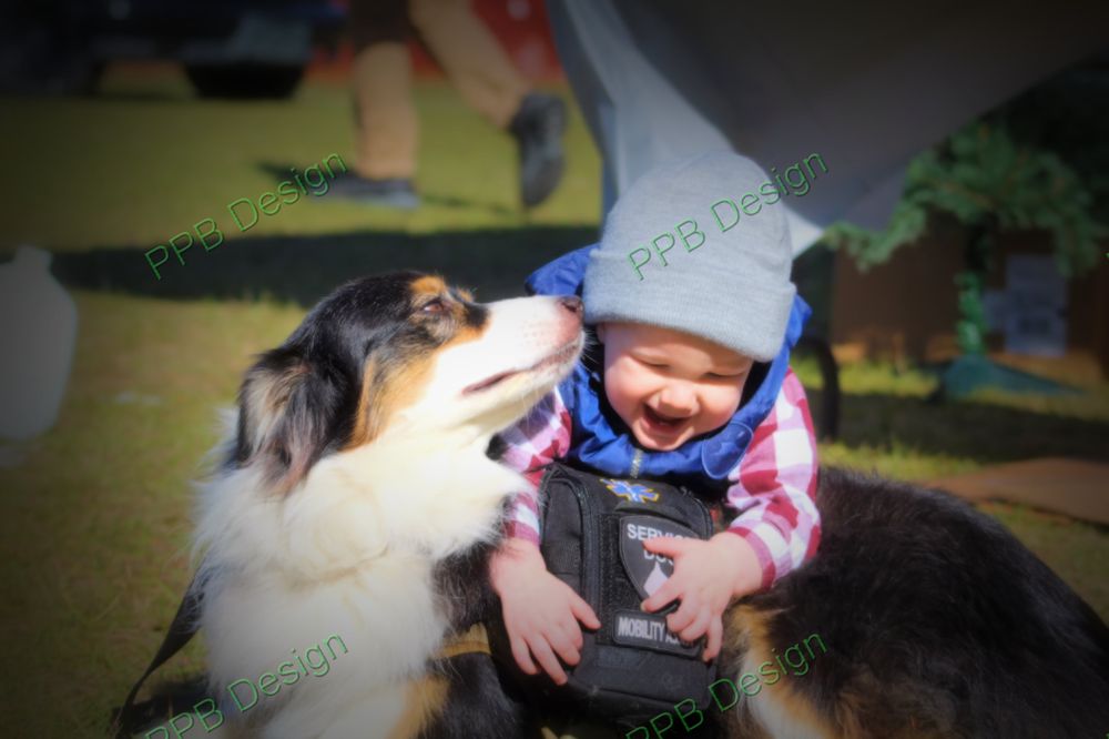 PUPSPAINTBALL - Updated April 2024 - 13 Photos - 115 Scattered Pines Rd, Hortense, Georgia - Pet ...