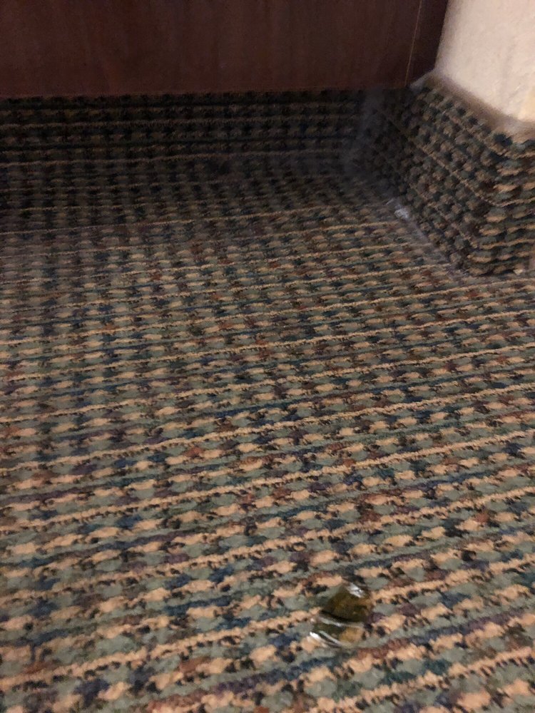 EDGEWATER HOTEL & WATERPARK - 38 Photos & 28 Reviews - 2400 London Rd ...