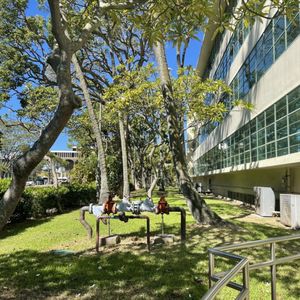 FRANK F. FASI MUNICIPAL BUILDING - Updated July 2025 - 28 Photos - 650 ...