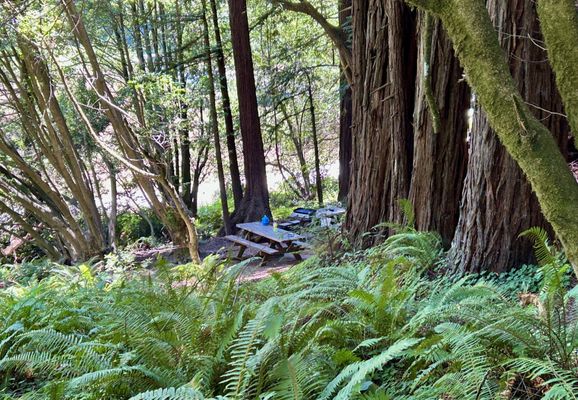 POMO CANYON ENVIRONMENTAL CAMPGROUND - Updated December 2025 - 20 ...