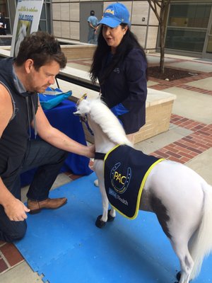 UCLA HEALTH HEAD & NECK SURGERY - Updated October 2025 - 47 Reviews ...