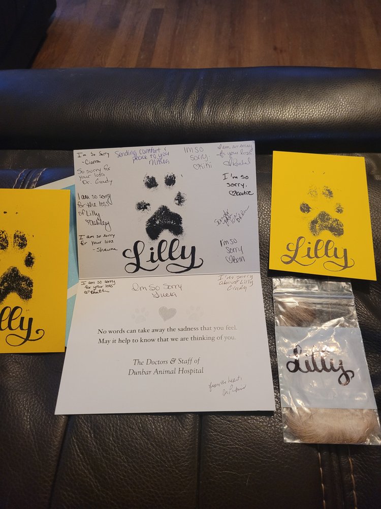 DUNBAR ANIMAL HOSPITAL - Updated September 2025 - 10 Reviews - 1419 ...