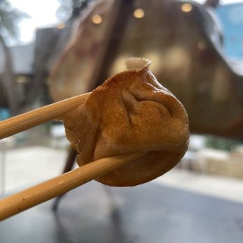 HELLO DUMPLING - Updated January 2026 - 134 Photos & 103 Reviews - 8041 ...