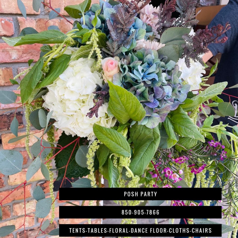 POSH PARTY - Updated December 2025 - Milton, Florida - Party Equipment ...