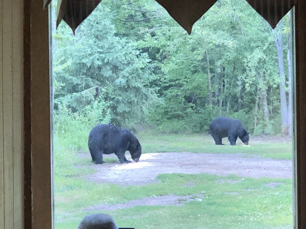 KONTEKA BLACK BEAR RESORT - Updated October 2024 - 38 Photos & 52 Reviews - 400 Main St, White ...